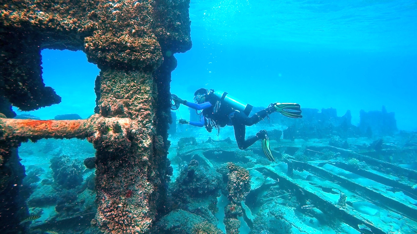 7 Astonishing Revelations from Cuba’s Lost Underwater City Discovery ...