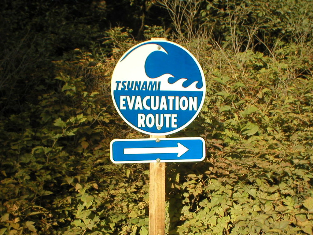 9 Overlooked Cascadia Megaquake Risks That Turn Minutes Into Long-Term ...