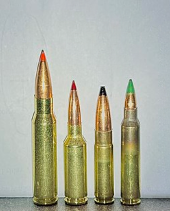 Nine Rifle Cartridges That Keep Hits Predictable From Bench to ...