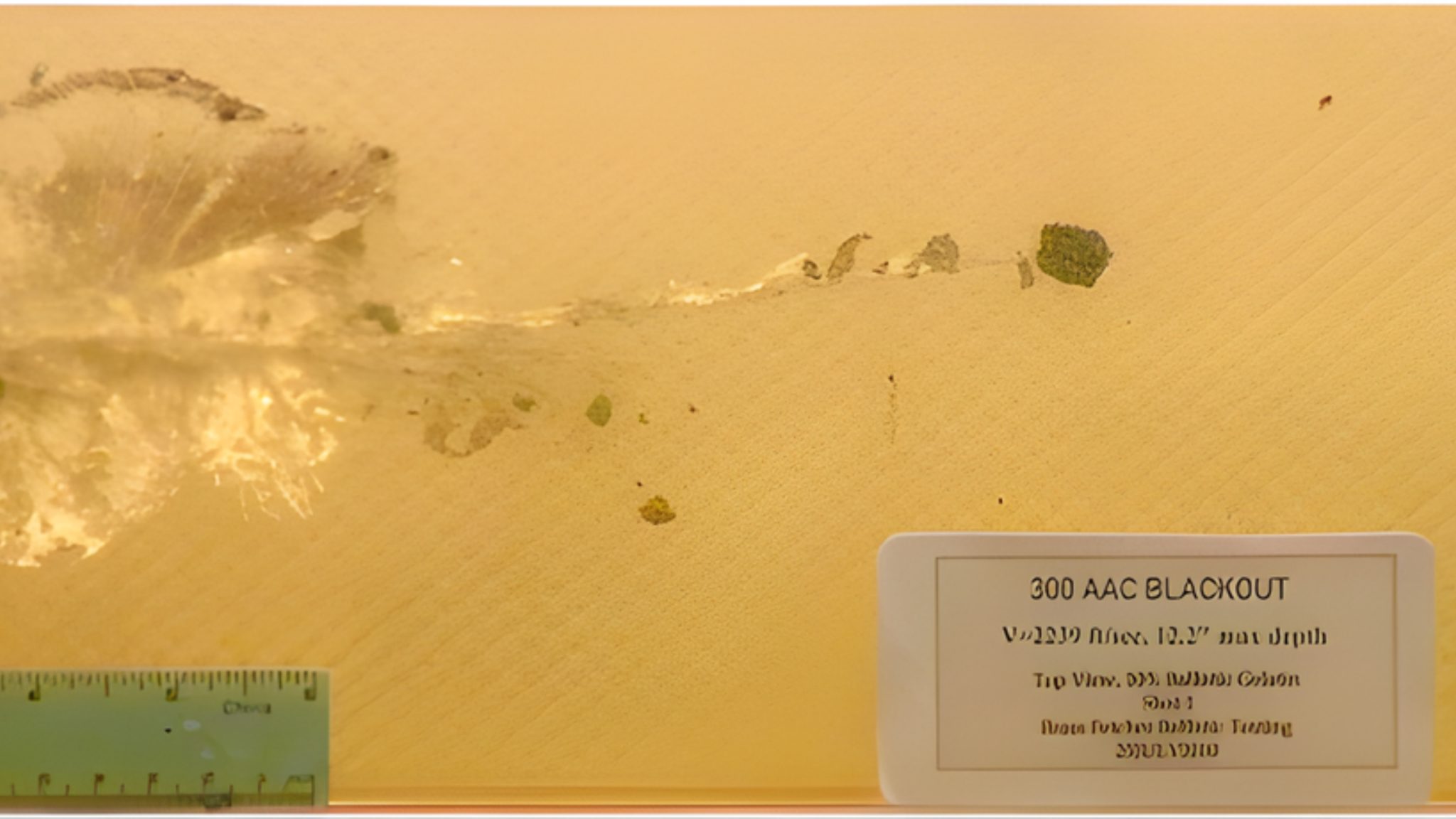 Why the FBI 12–18 Inch Ballistic Standard Changed Handgun Ammo Testing ...