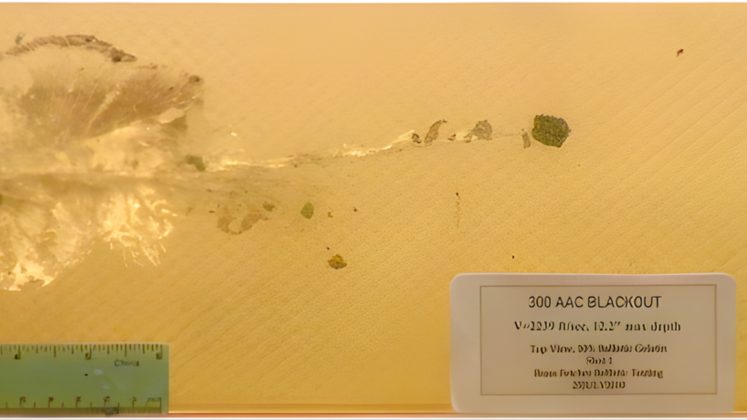 Why the FBI 12–18 Inch Ballistic Standard Changed Handgun Ammo Testing ...
