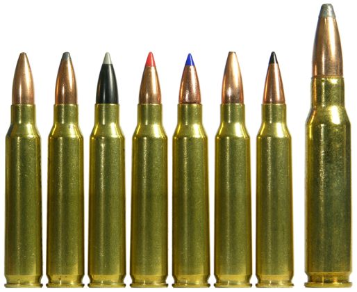 7 Rifle Cartridges Hunters Overtrust When Heavy Bone Stops the Bullet ...